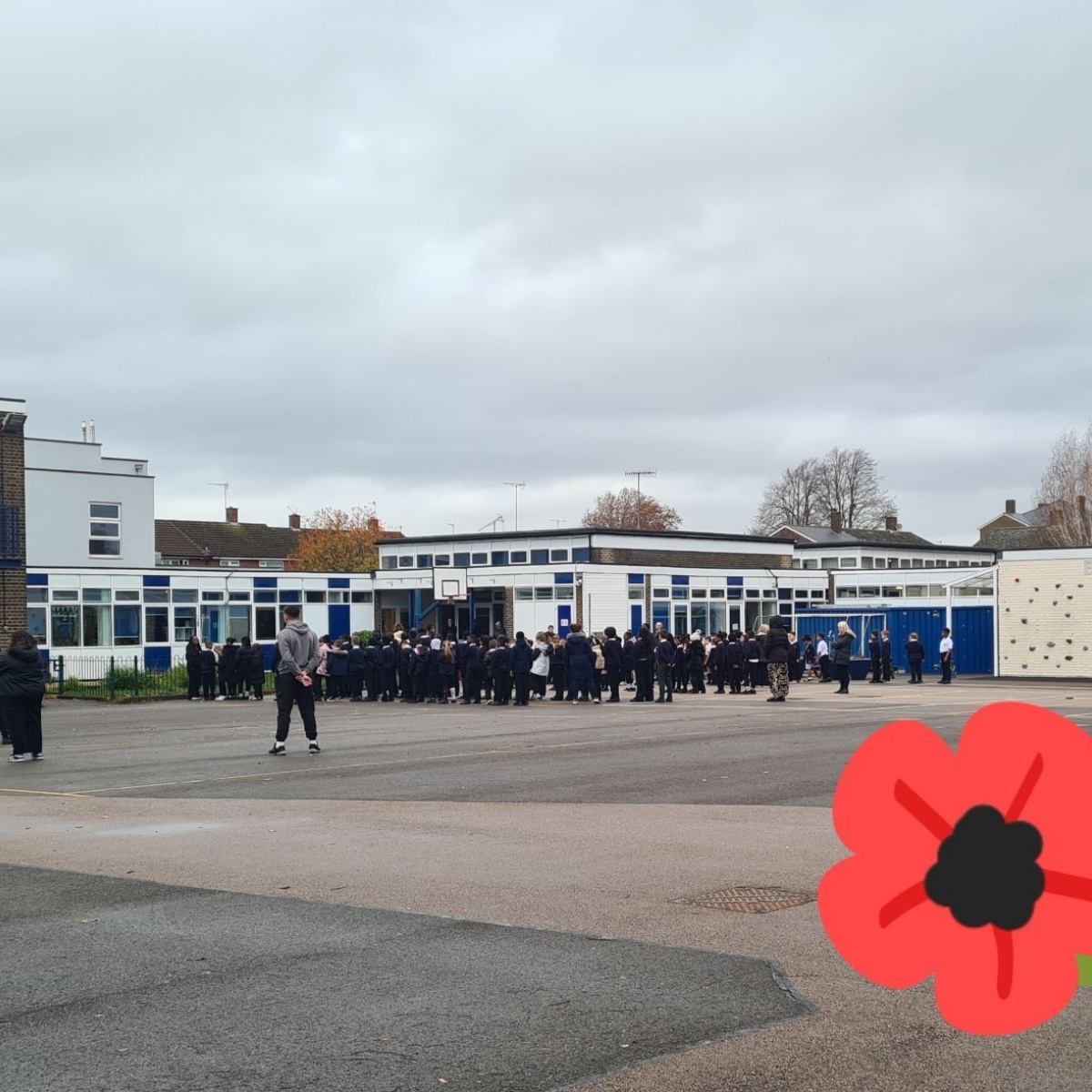 Boxgrove Primary School - Boxgrove remembers...
